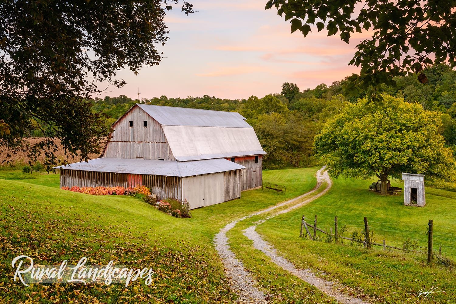 Fine Art Nature Photography | Brady Kesner Photography