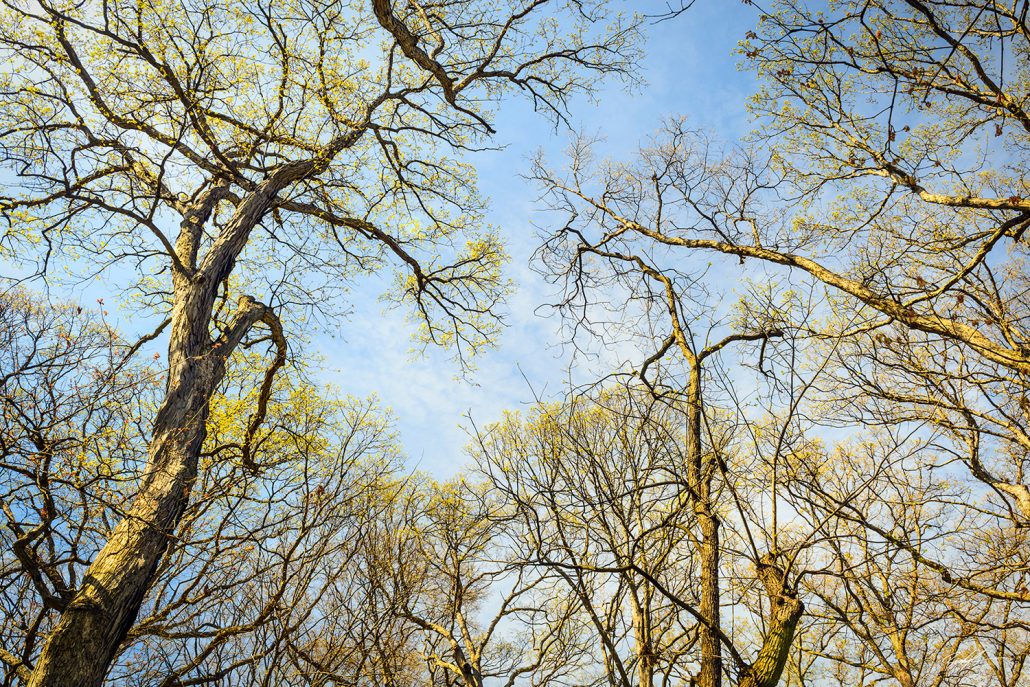 Landscapes - Brady Kesner Photography